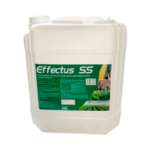 Effectus SS – Effectus
